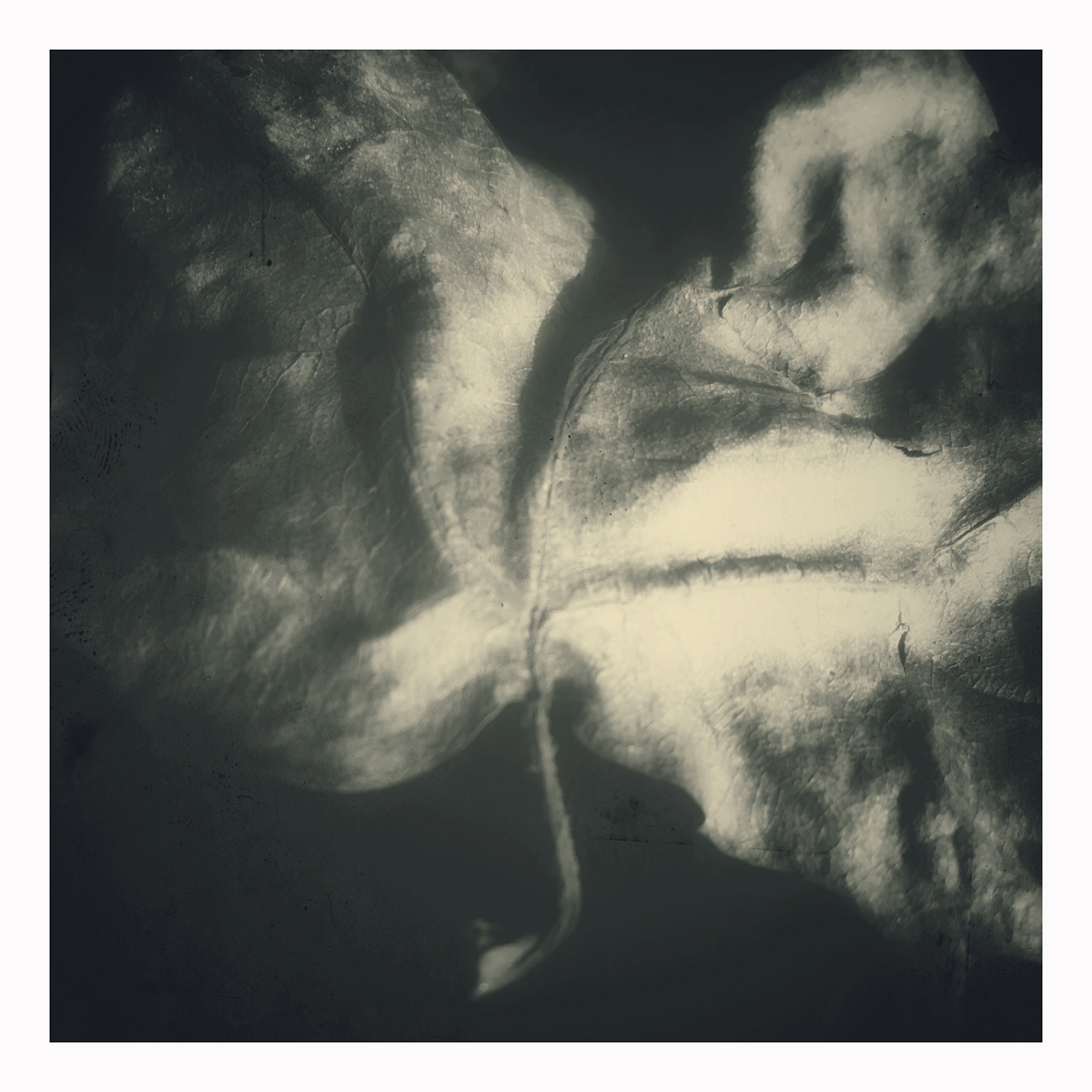 btween, Anna Rosati & Anuar Arebi | The Dummy's Tales